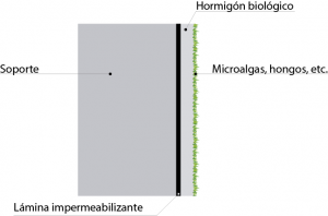 More Than Green Biological concrete | New materials to reduce CO2