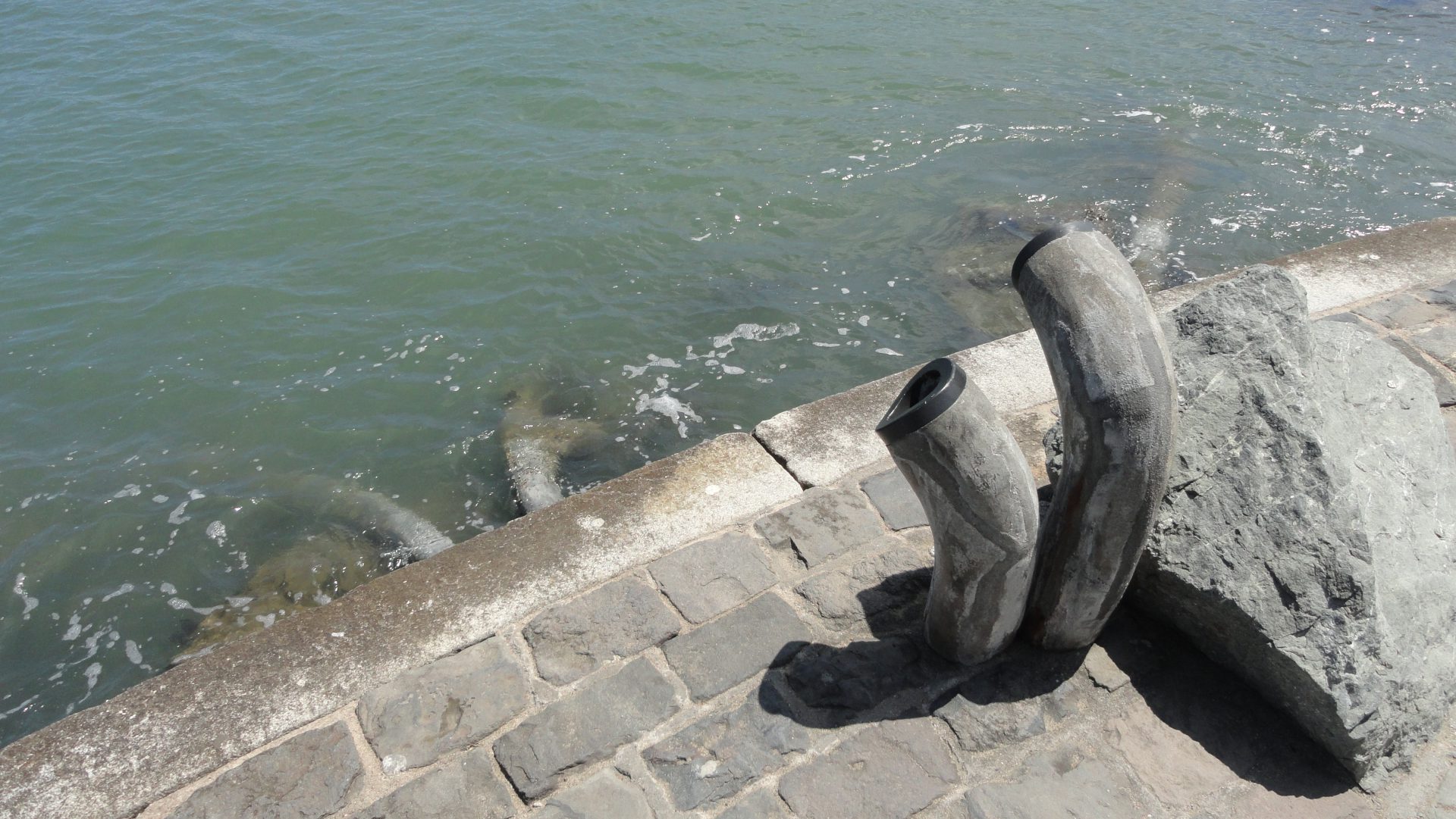 More Than Green The Wave Organ | A wave-activated acoustic jetty | San ...